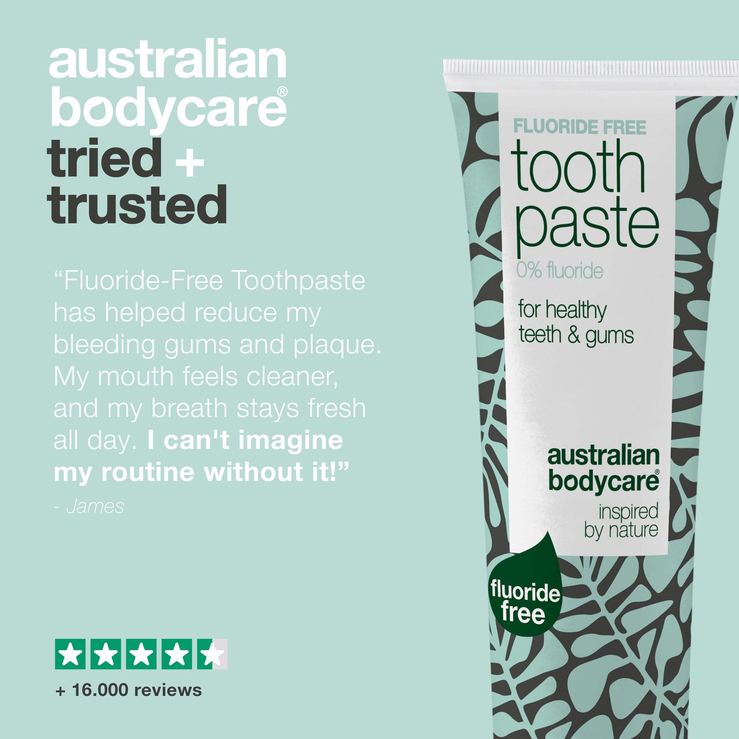 Fluoride-Free Toothpaste – Fights Plaque, Strengthens Gums & Freshens ...
